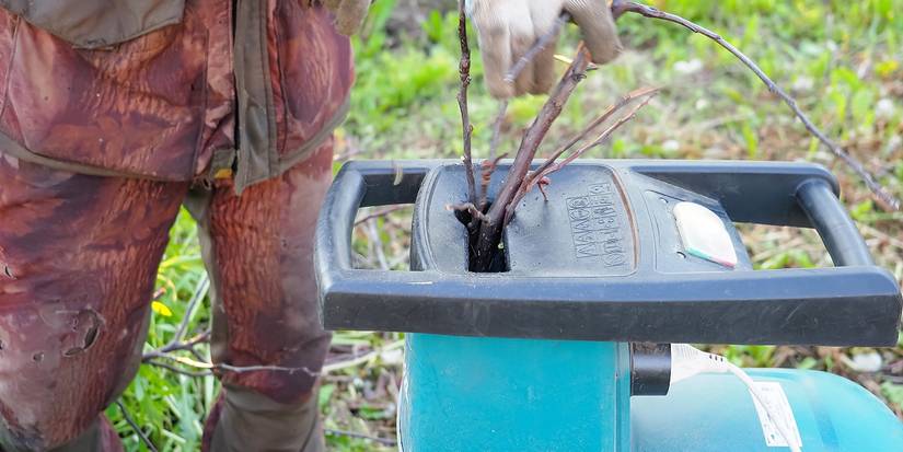 Compost Faster: 5 Surprisingly Simple Tips to Try