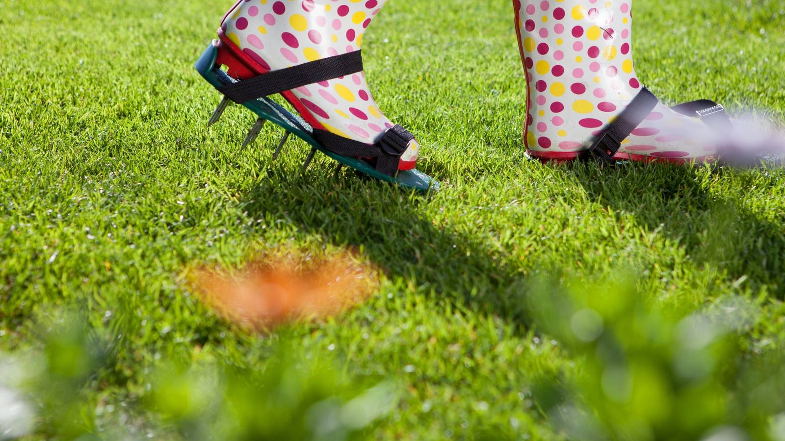 Why Soil Decompaction is Crucial This Summer