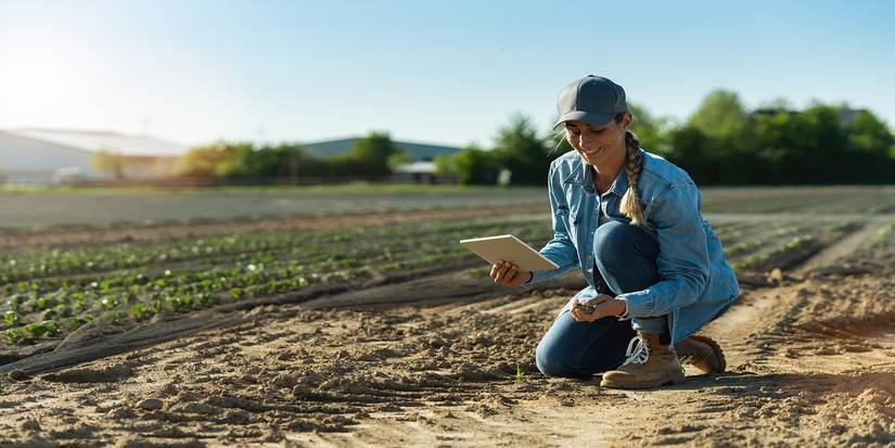 A Guide to Landscape Reading for Gardeners