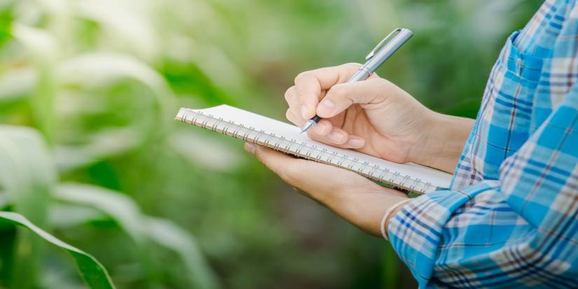 Plan Your Orchard: When Will Your Fruit Trees Start Producing?