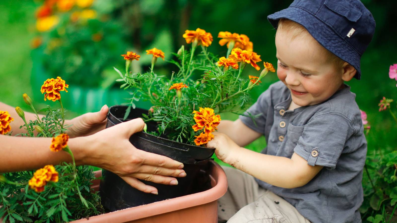 7 Beginner-Friendly Plants for Kids' First Garden