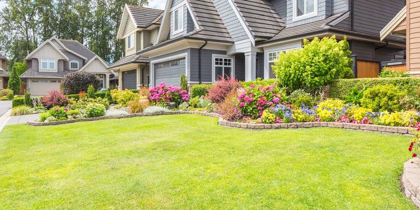 Why Parking on Your Lawn Grass Is a Bad Idea