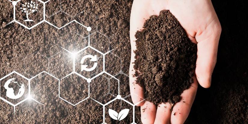 5 Issues That Can Ruin Your Soil's Structure