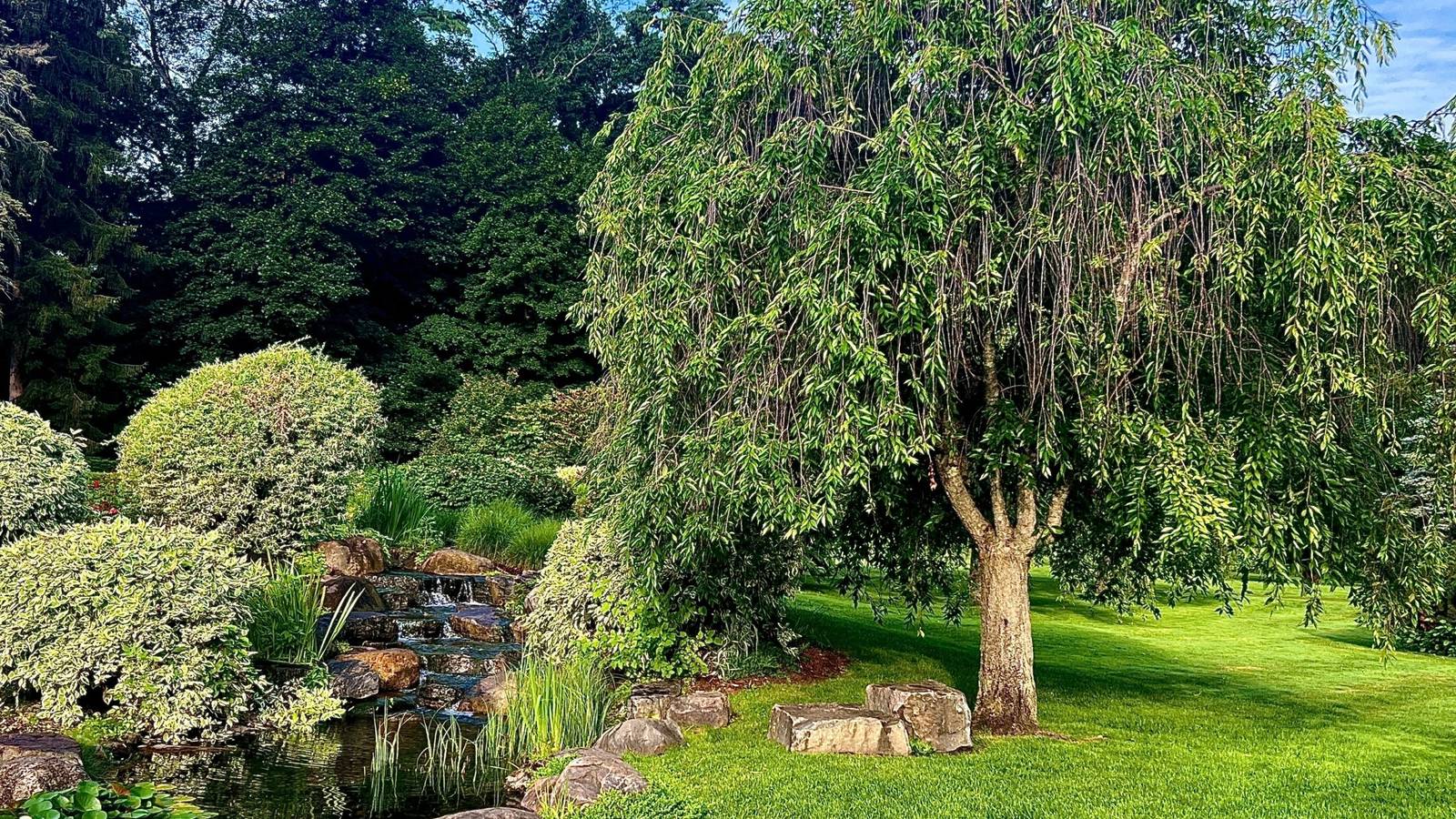 Transform Your Backyard: Essential Plants for Swale Gardens