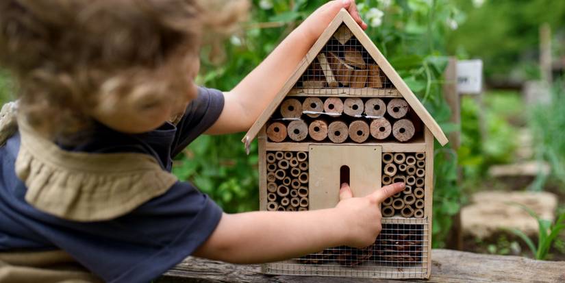 A DIY Guide to Attracting Pollinators to Your Garden