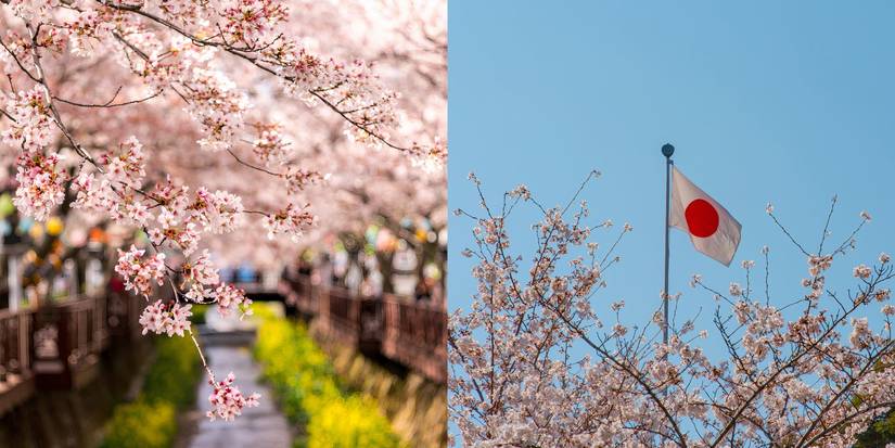 National Flowers: Create a Garden Worthy of the Olympics