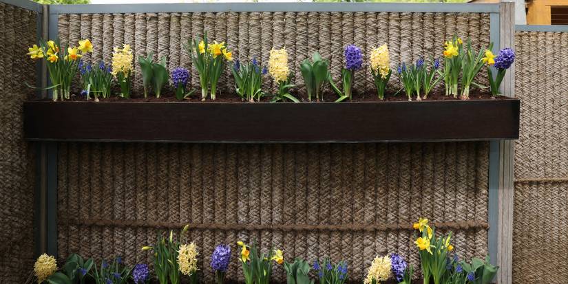 Railing Planters: Use 5 Ideas for Fence Planters To Spruce Up Your Yard