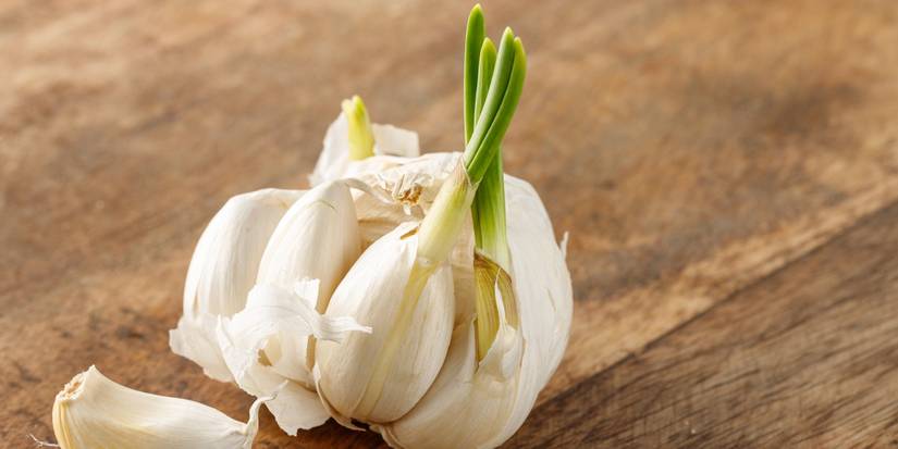 Keep a Constant Supply of Garlic: Grow It!