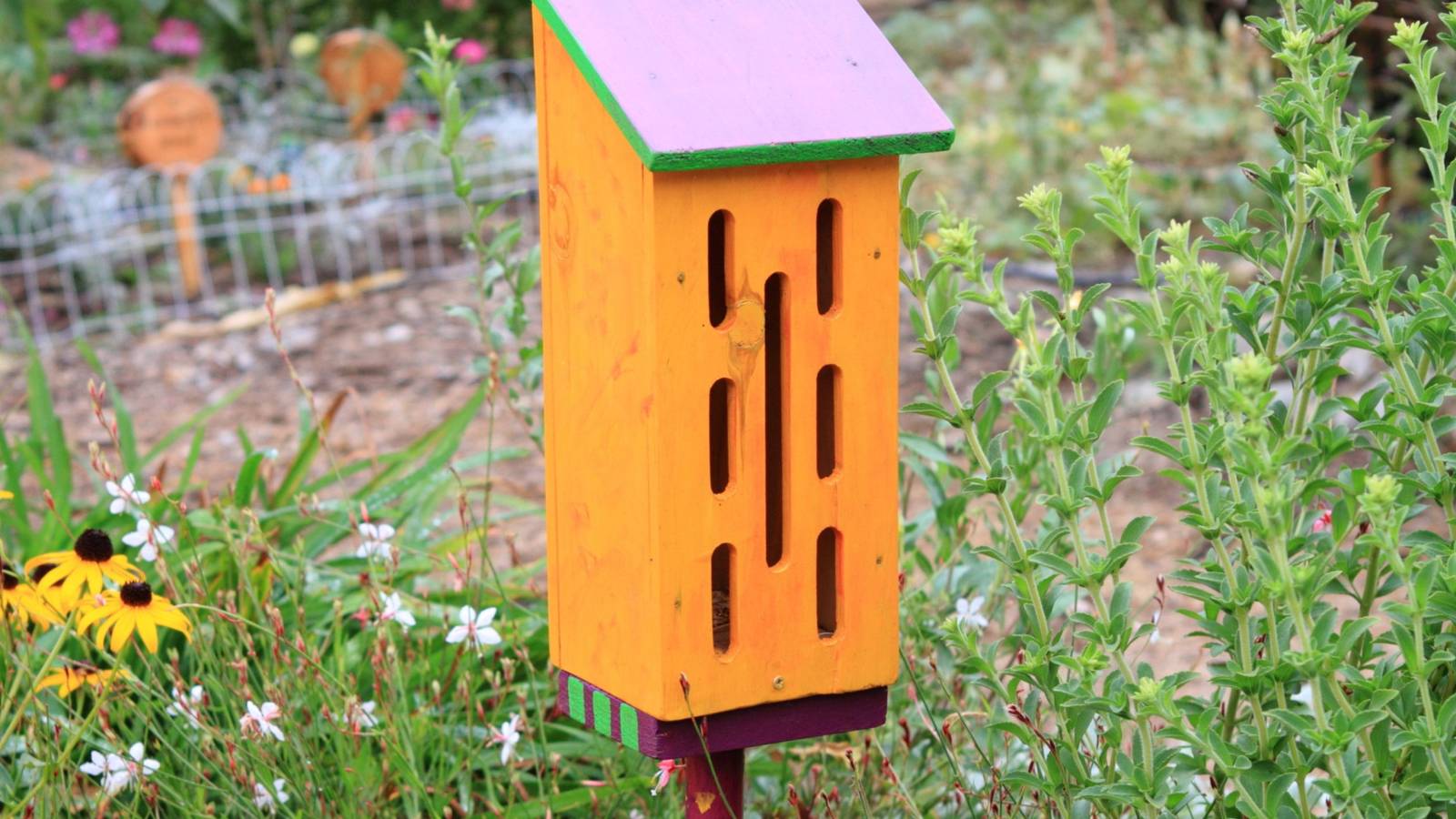 Learn How to Design and Build a Butterfly House