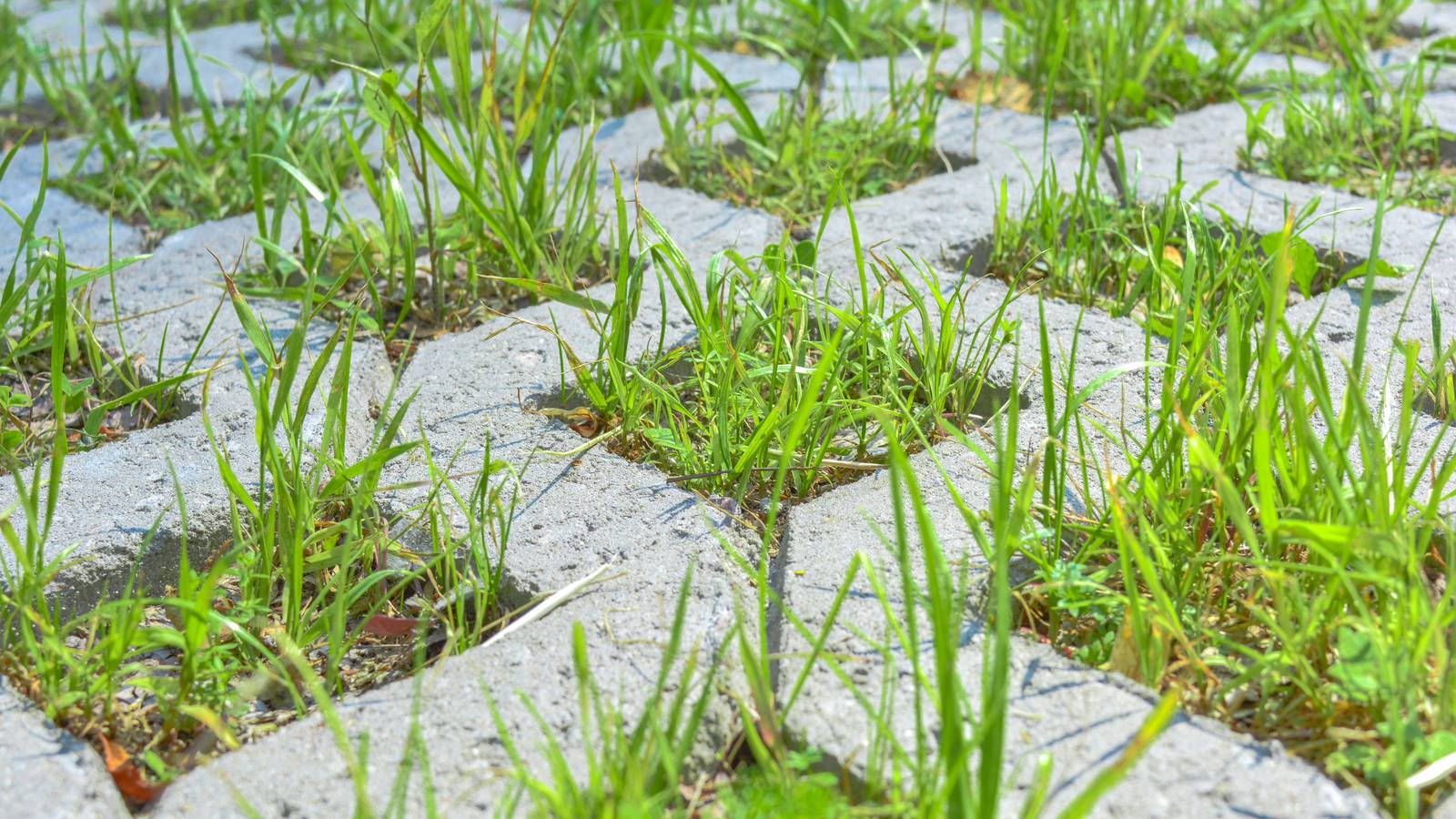 Boost Outdoor Aesthetics with Grasscrete Permeable Pavers