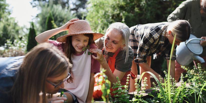Garden Clubs: Where Green Thumbs Meet Big Ideas