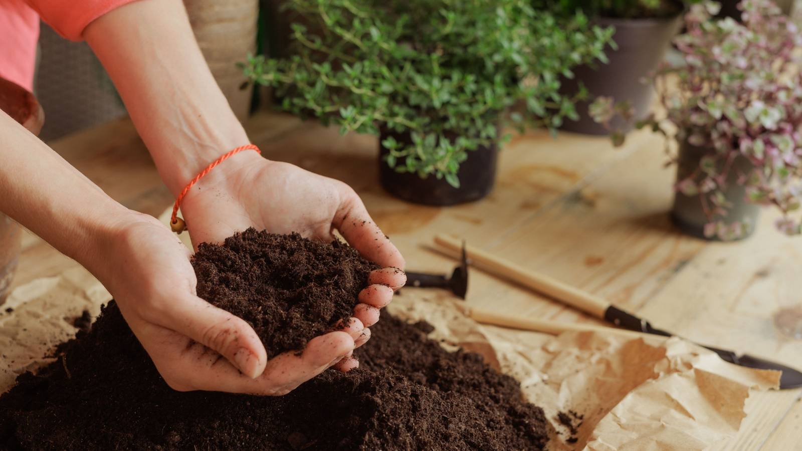 Boost Your Garden Soil by Learning About Smart Soil