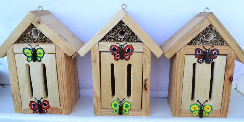Learn How to Design and Build a Butterfly House