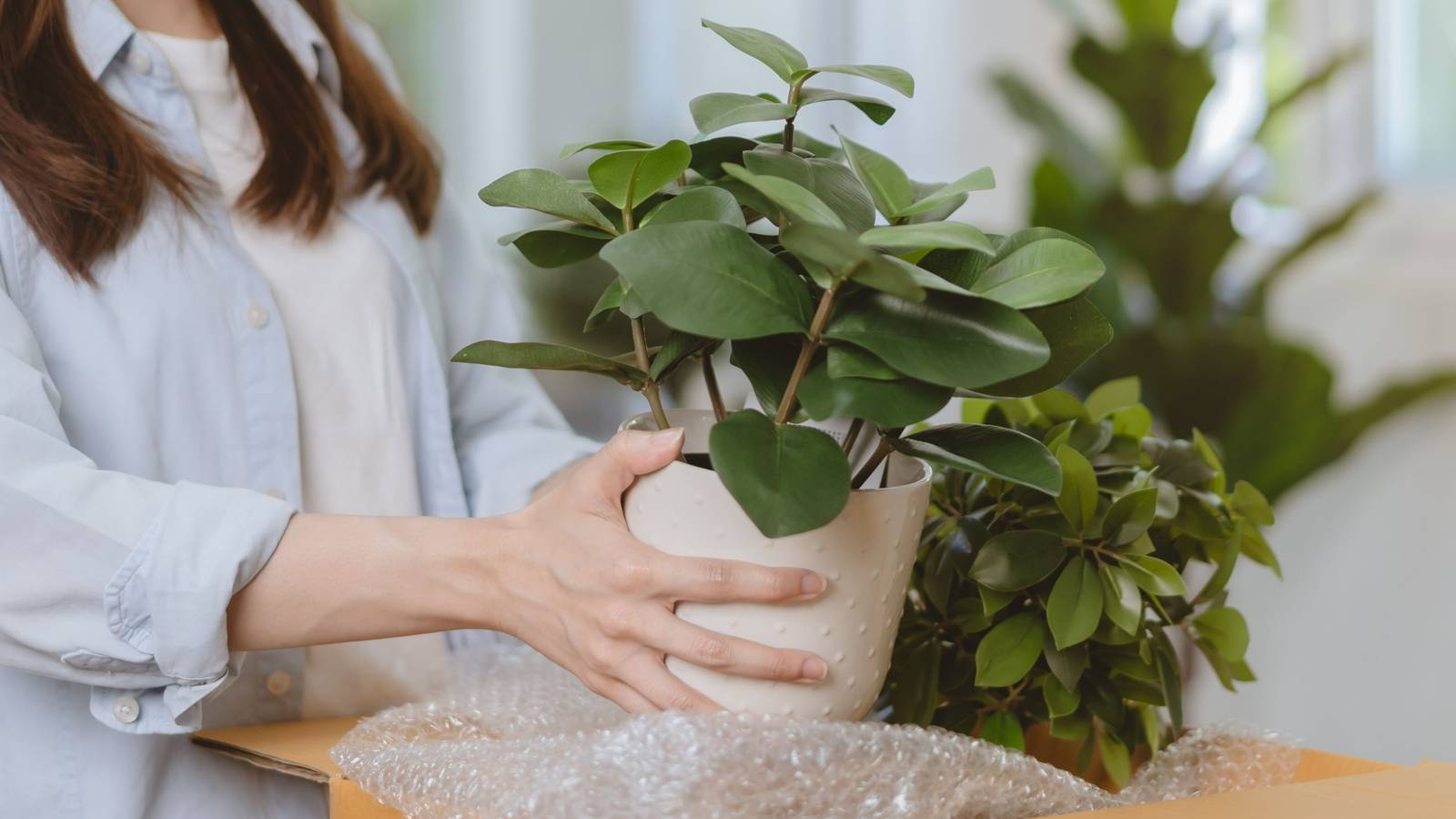 How the Plant Trade is Disrupting Ecosystems on a Global Scale