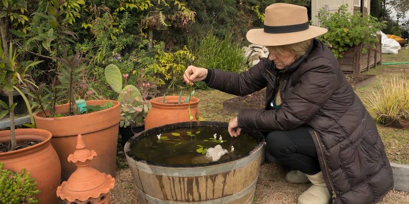 Stunning Above Ground Pond Ideas That Transform Your Backyard