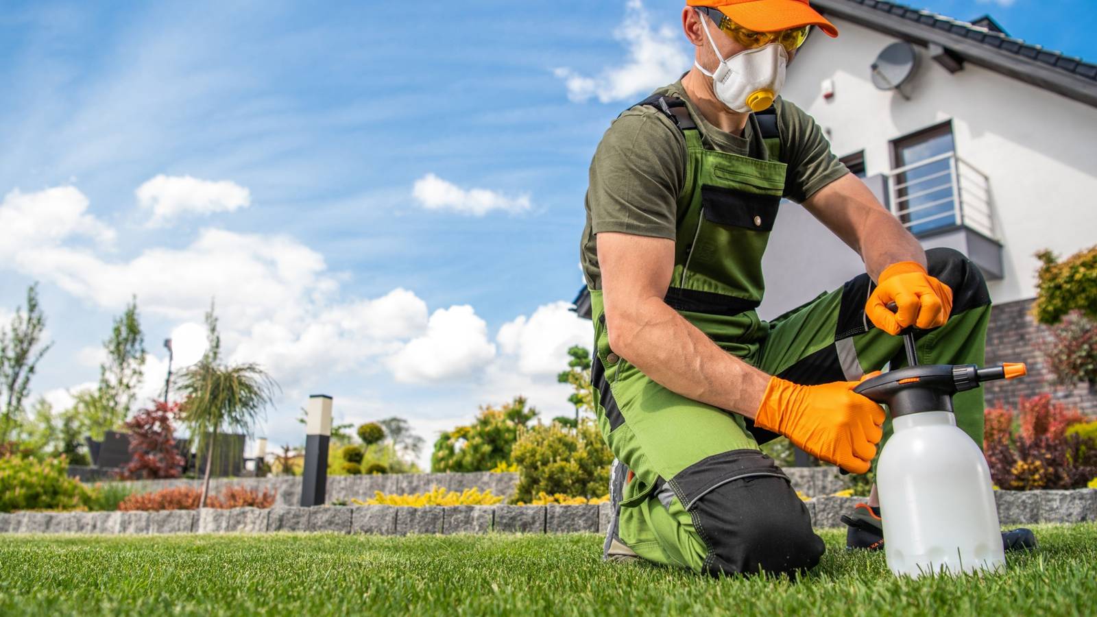 Pest Control Scam: Use These 6 Tips To Avoid Lawn Care Scams