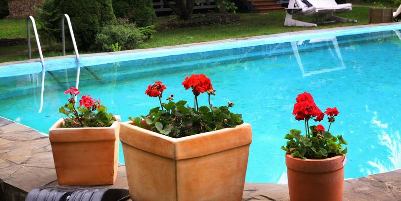 Use Potted Plants Around Pool Areas
