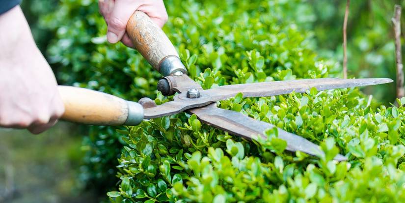 Backyard Landscaping: Create a Beautifully Symmetrical Space