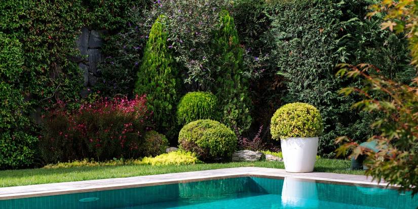 Use Potted Plants Around Pool Areas