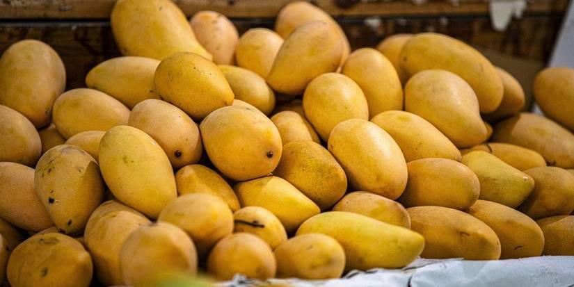 Five Juicy Fruits That Make Summer Desserts Unforgettable