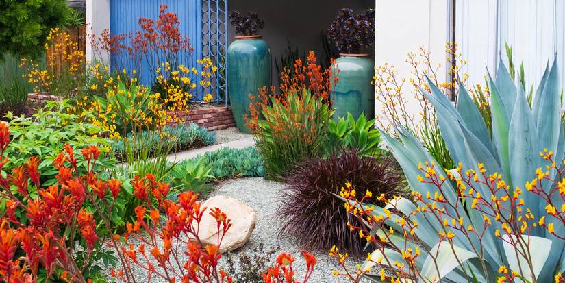 Beginner's Guide to Sustainable Gardening: Grow Greener with Every Choice
