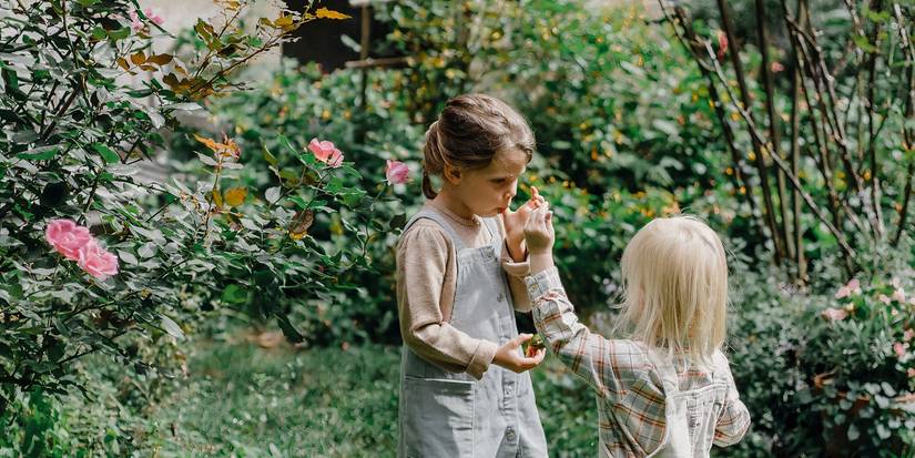 Designing a Sensory Garden for Kids: A Complete Guide