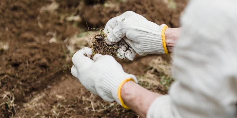 Post-Harvest Essentials: 6 Tips You Must Remember