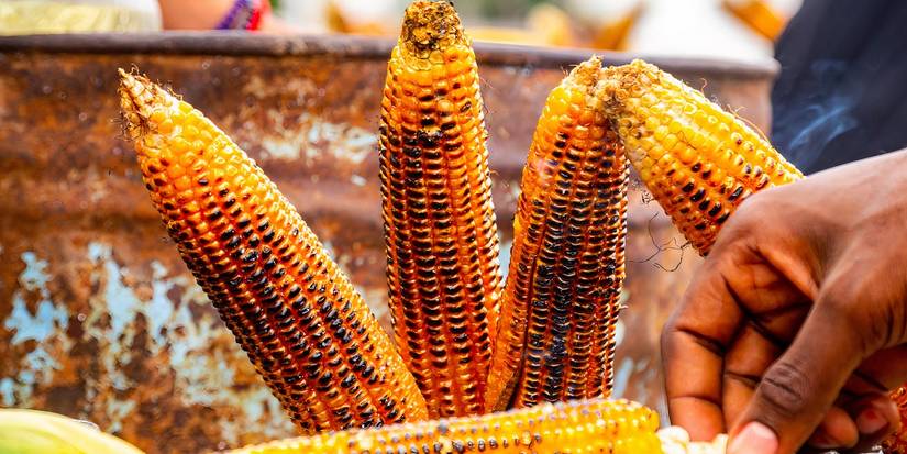 Master the Flame: How to Roast Corn to Summer Perfection