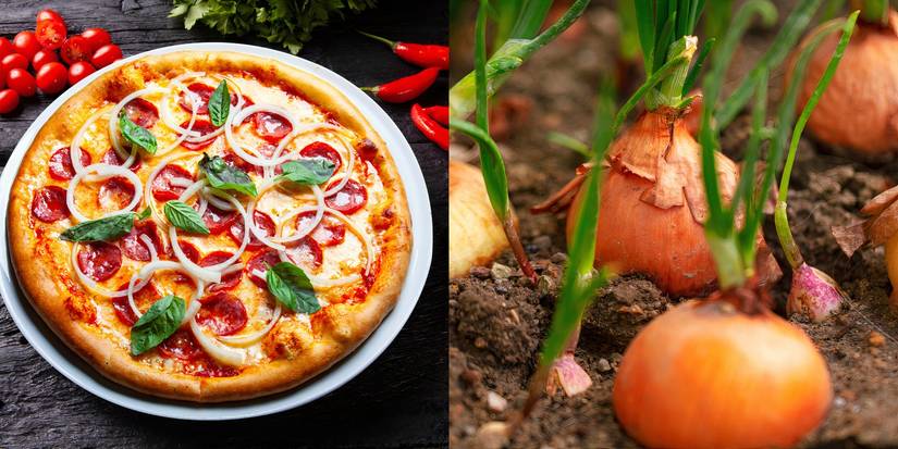 Pizza Toppings: Grow Your Own and Cook Them on a BBQ Grill