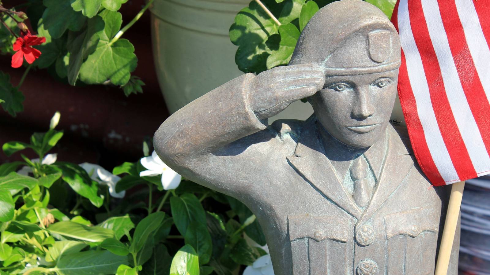 Patriotic Flowers to Brighten Your Memorial Day Decorations