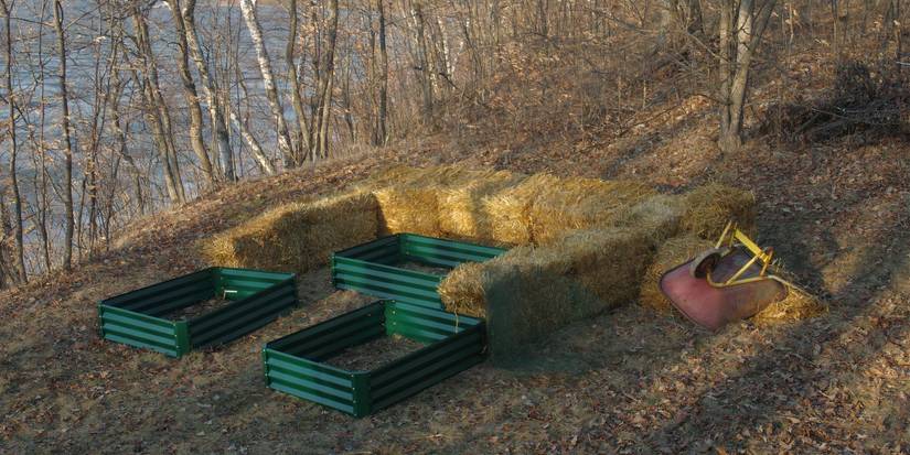 Fun DIY Dog Pool Projects to Keep Your Furry Friend Cool