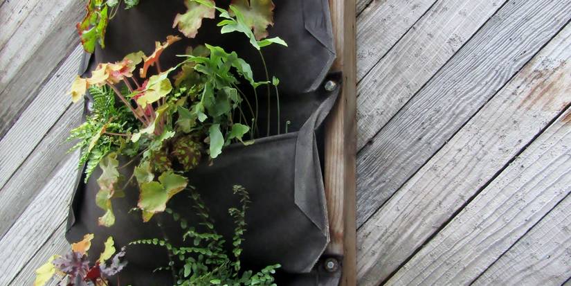 Small Spaces, Big Blooms: The Art of Pocket Gardening