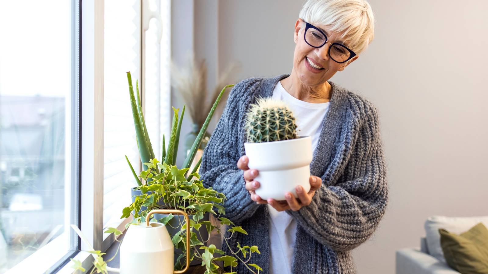 Houseplant Placement: How to Pick the Perfect Position