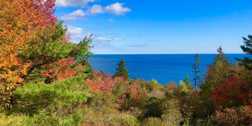 Your Guide to the Most Breathtaking Fall Foliage Spots Across U.S.