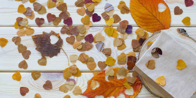 Make the Most of Fall Leaves: 6 Creative Uses
