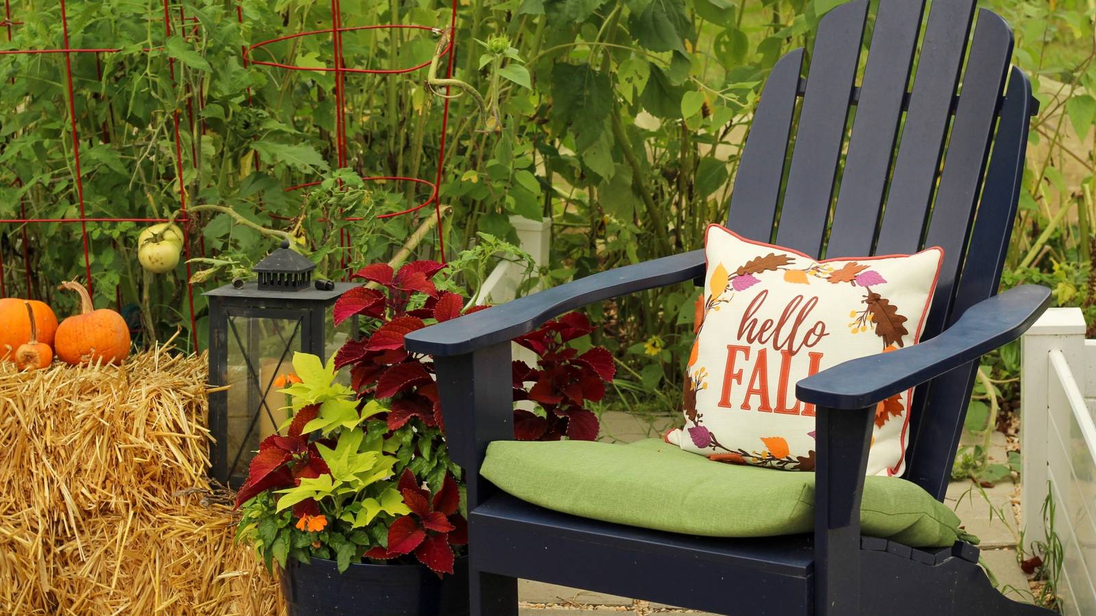 5 Cozy Backyard Design Ideas for Fall