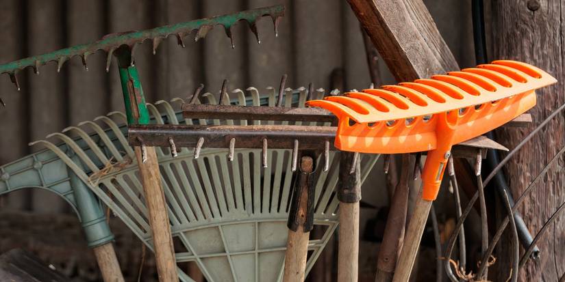 The Ultimate Gardener’s Toolkit: 11 Essential Tools