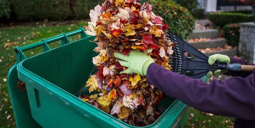 Learn How To Rake Leaves Without Straining Your Back