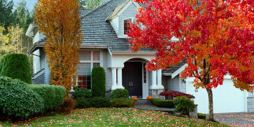 Learn How To Rake Leaves Without Straining Your Back