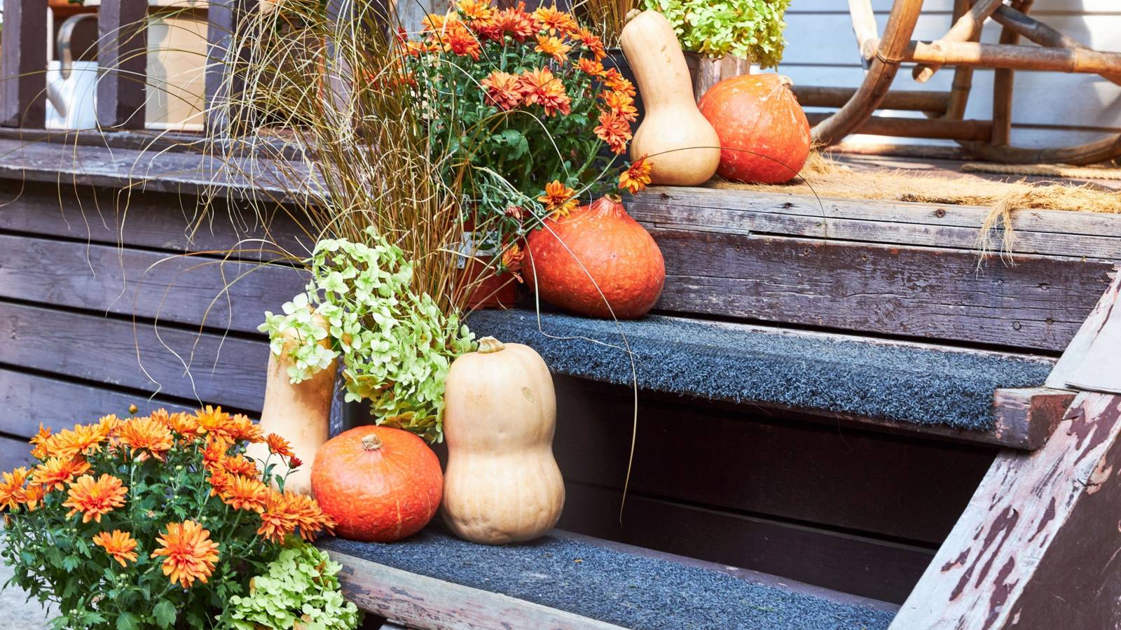 Use Decorative Gourds to Create Stunning Fall Decor