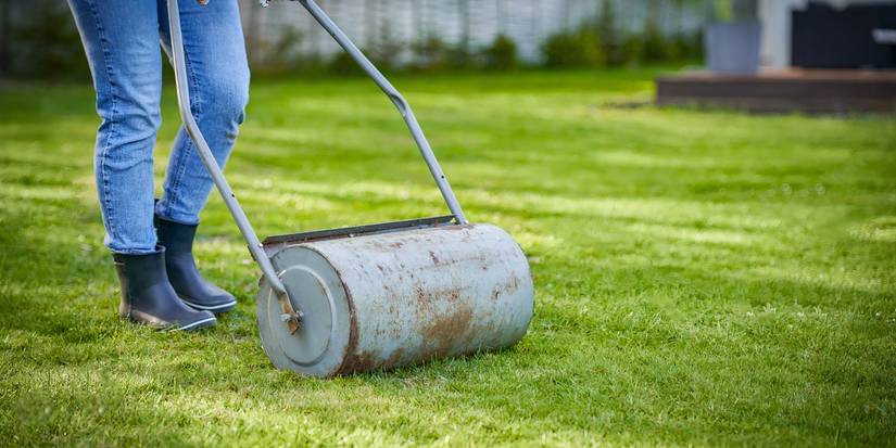 How To Smooth Your Lawn: Actionable Steps To Improve Your Lawn's Health