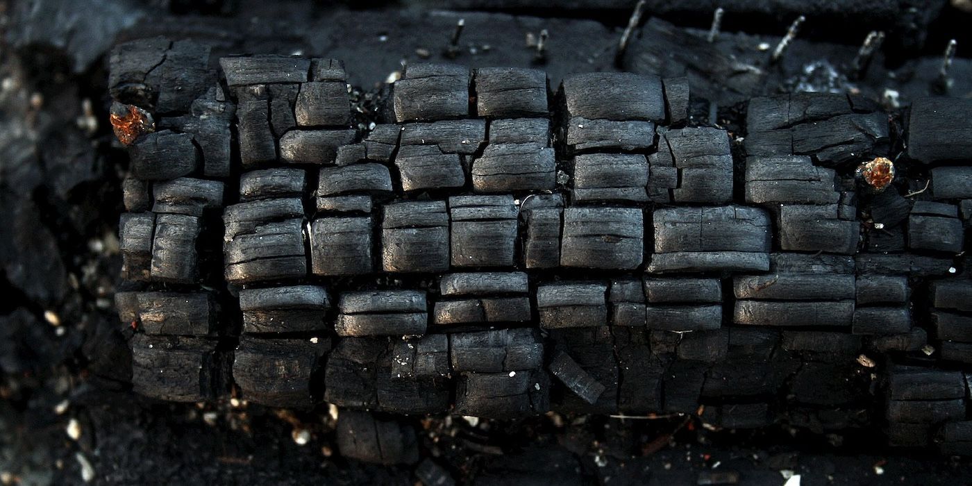 Surprising Ways to Use Charcoal in the Garden for Better Growth