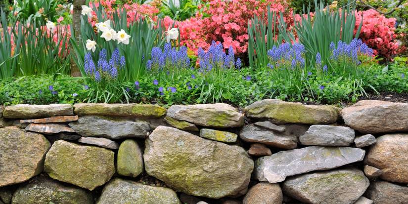 5 Garden Edging Ideas That Instantly Upgrade Your Outdoor Space