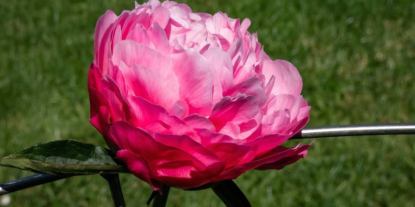 The Joker and Harley Quinn: Make Comic Book Vilians Come Alive