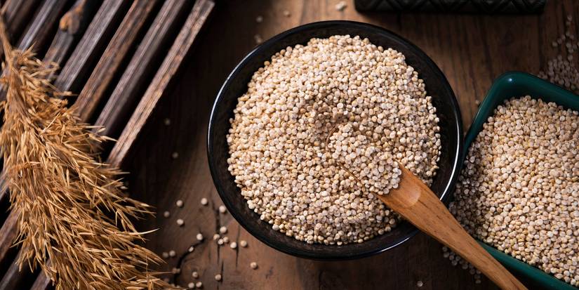 Best Plant-Powered Protein Sources for Vegetarians