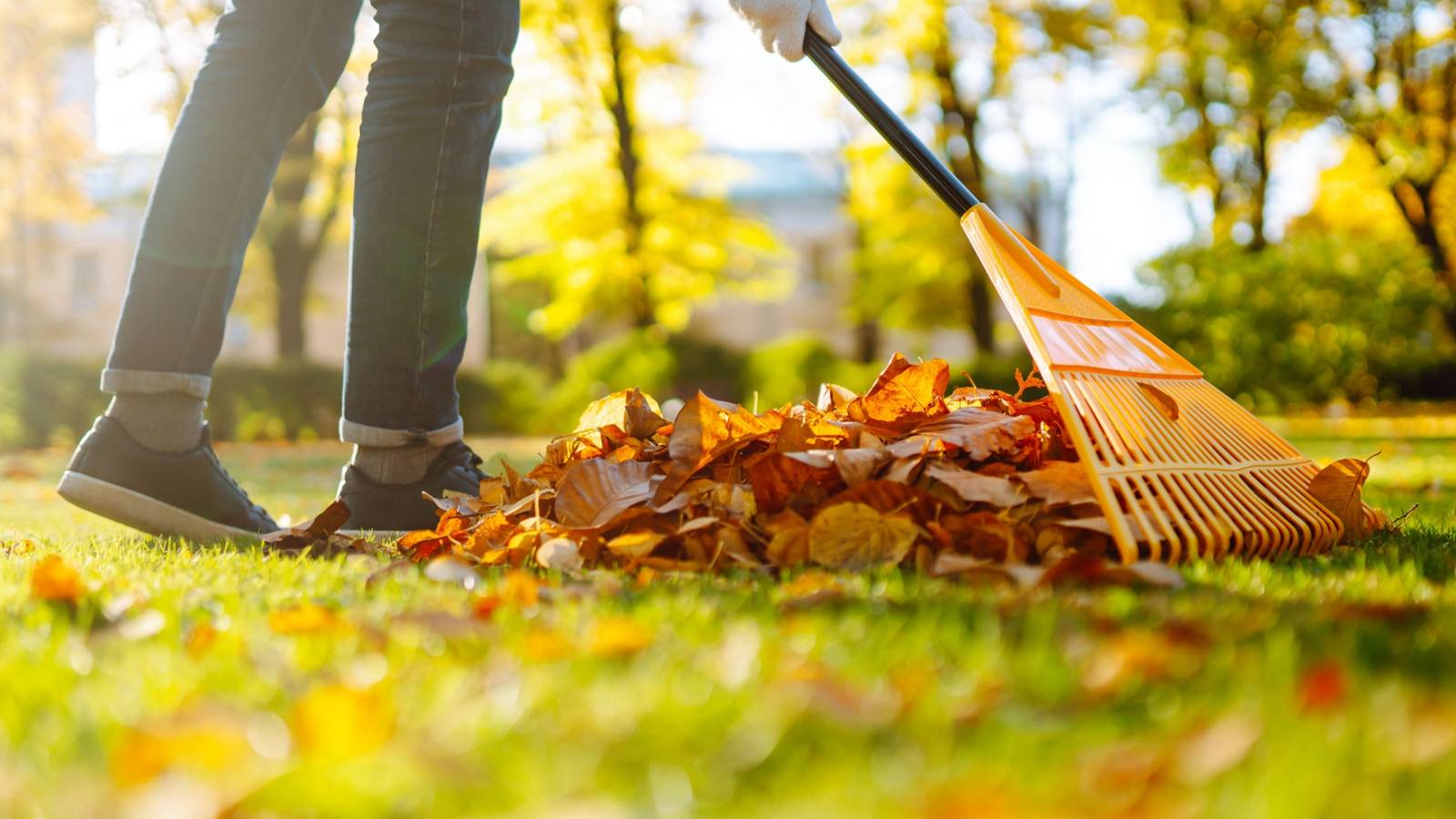 Learn How To Rake Leaves Without Straining Your Back