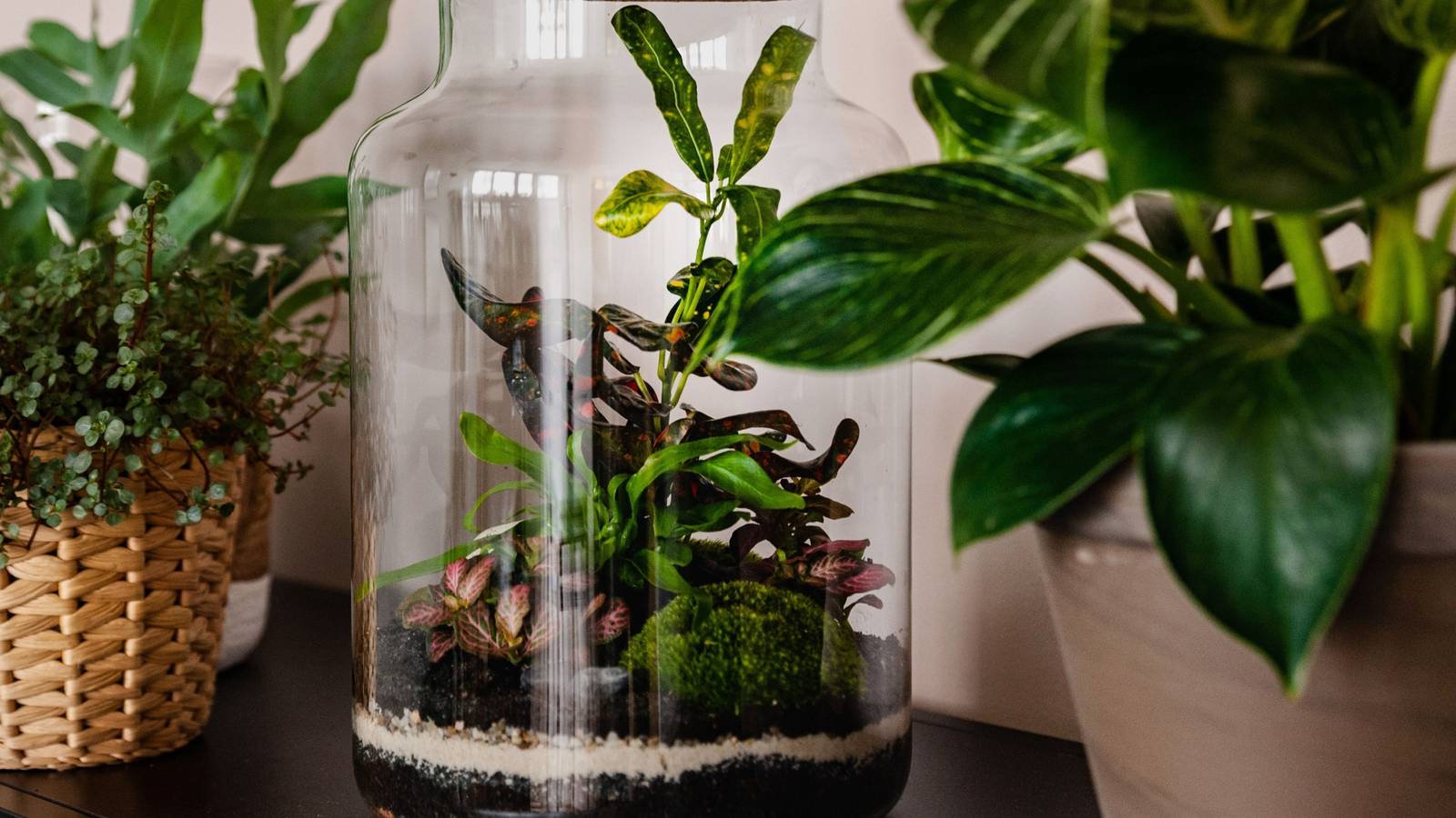 Create a DIY Terrarium With Inspiration From 5 Glass Terrariums