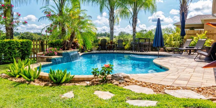 Top Chlorine-Resistant Plants for Stunning Poolside Gardens
