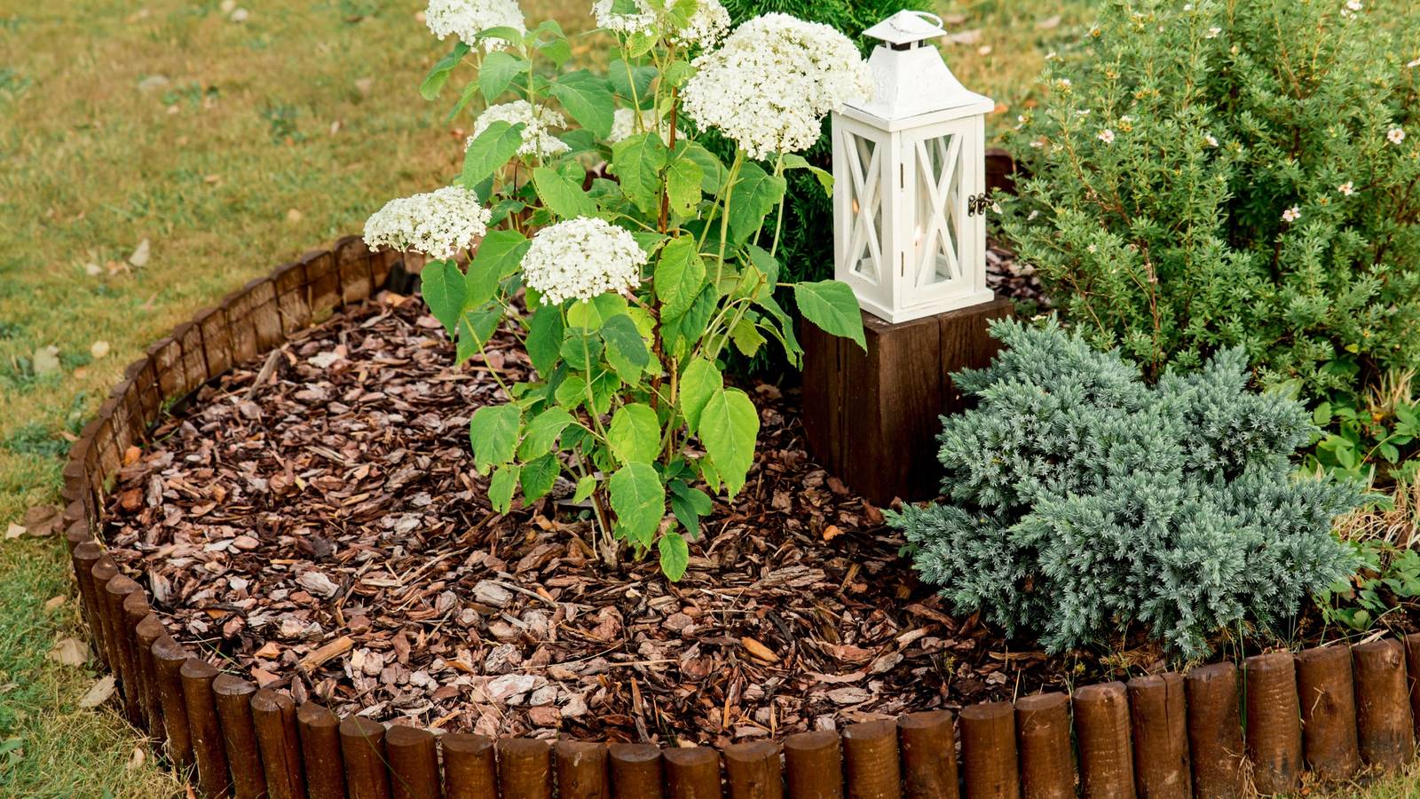 Easy Landscape Edging Ideas to Instantly Upgrade Your Yard