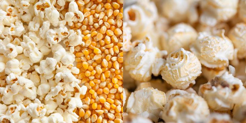 Gourmet Popcorn: From Humble Snack to a Sweet or Savory Treat